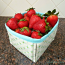Cute Fabric Berry Boxes Have So Many Uses - Quilting Digest